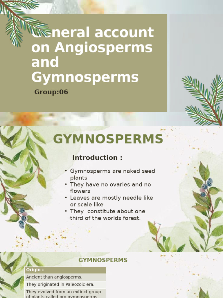 General Account on Angiosperms and Gymnosperms Ppt - Copy | PDF ...
