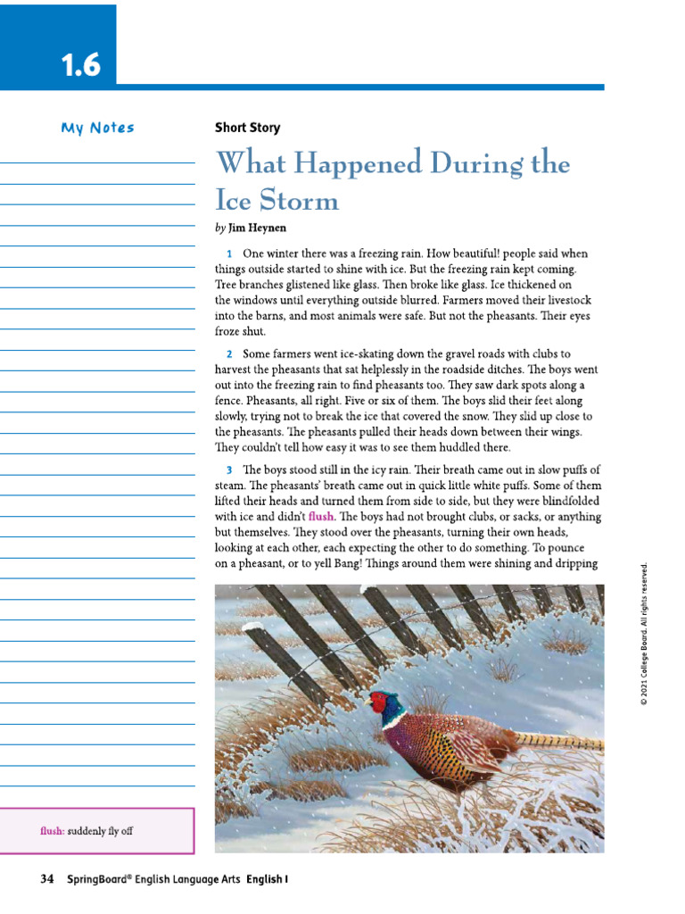 What Happened During The Ice Storm by Jim Heynen - Text | PDF