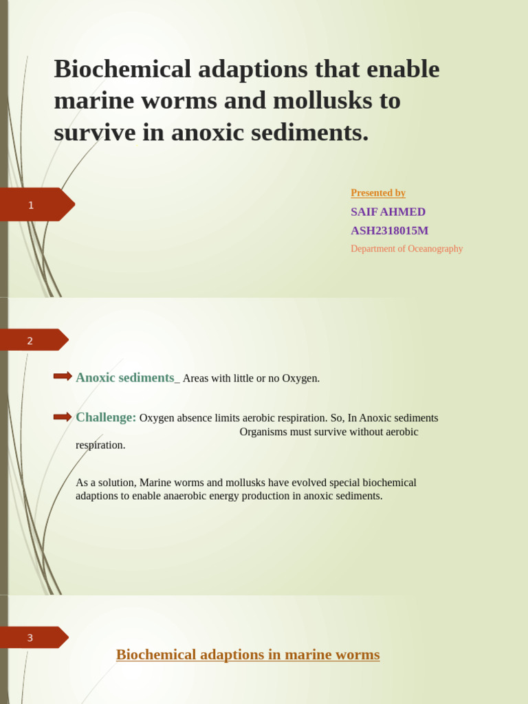 Biochemical Adaptions That Enable Marine Worms and Mollusks | PDF