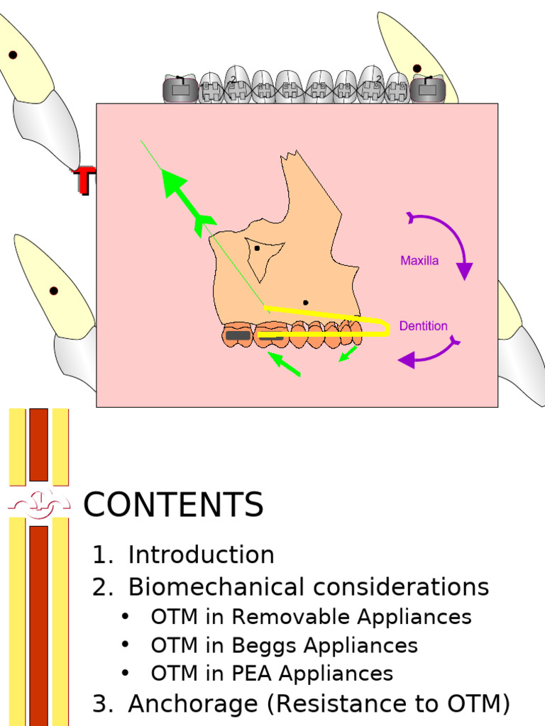 Biology of Tooth Movement - 02 | PDF | Orthodontics | Dentistry