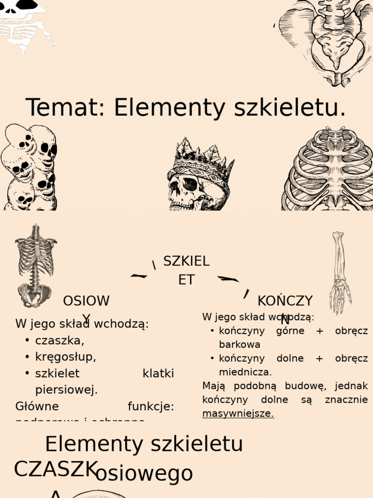 Temat Elementy Szkieletu. | PDF