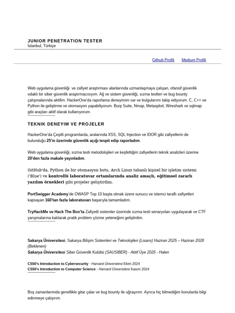 Cv Turkish | PDF