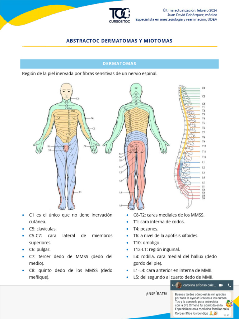 Dermatomas y Miotomas en Anestesia | PDF | Pie | Sistema musculoesquelético