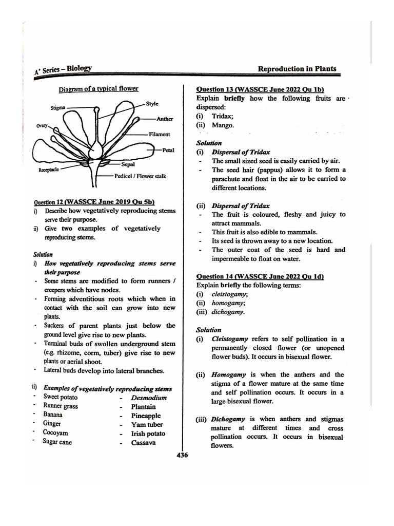 Reproduction in Plants Theory | PDF | Flowers | Plant Morphology