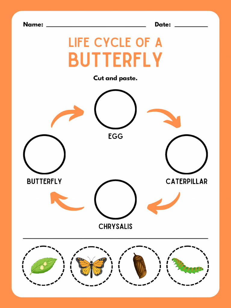 Life Cycle of Animals Cut and Paste Worksheets in Colorful Illustrative ...