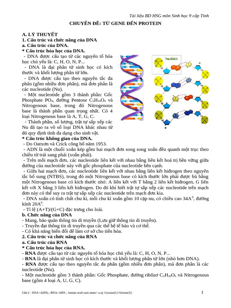 Chuyên Đề 4 - Từ Gen Đến Protein - Bdhsg Sinh 9 | PDF