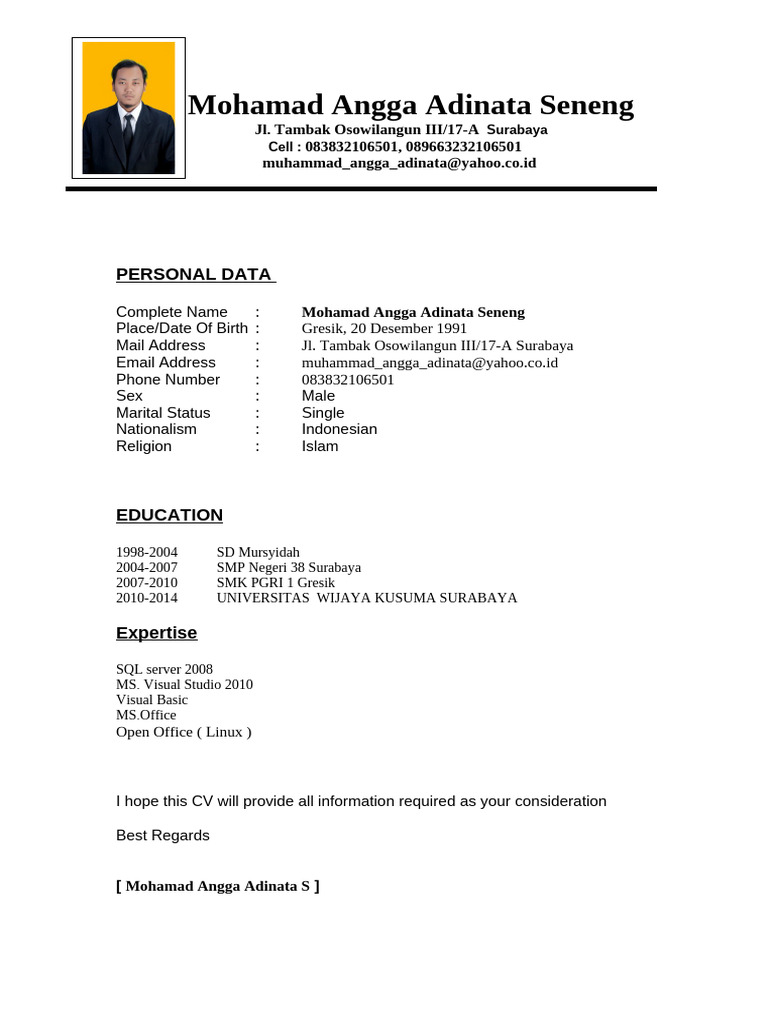 Curriculum Vitae - Angga Adinata | PDF