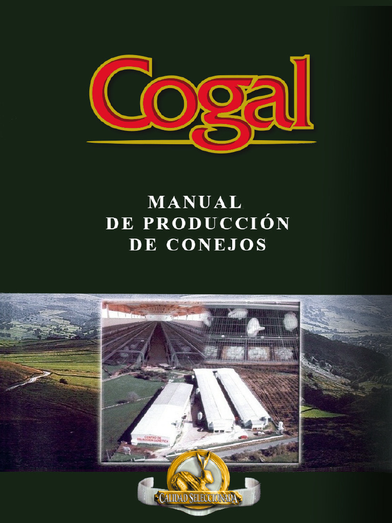 Manual Produccion | PDF