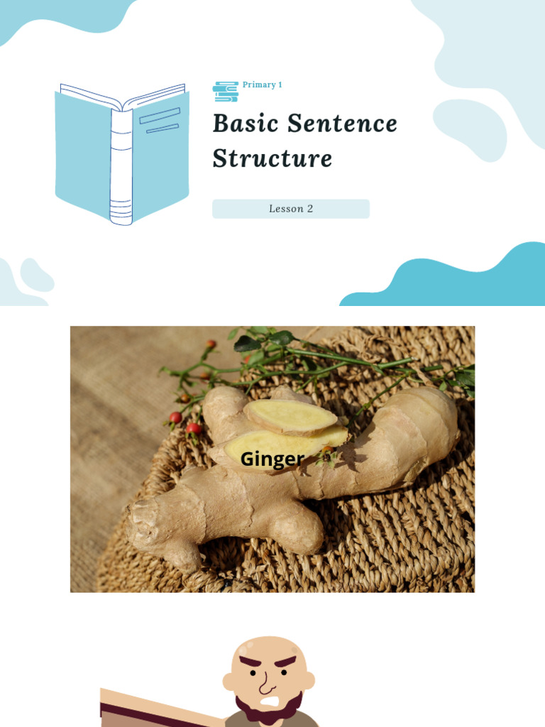 Lesson 1B Basic Sentence Structure | PDF