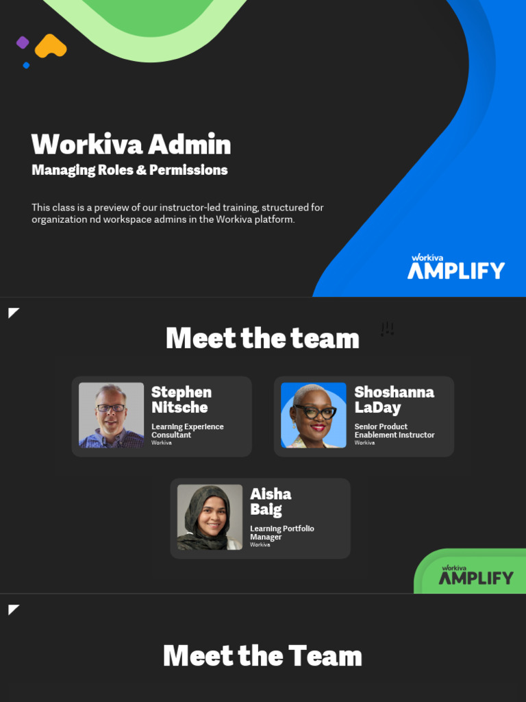 Workiva Roles & Permissions Guide | PDF | Computer File | Software