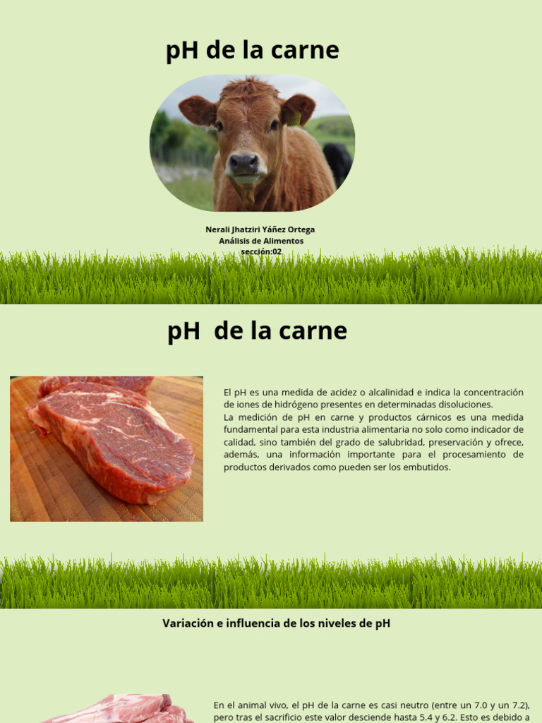 PH de La Carne | PDF | Ph | Carne
