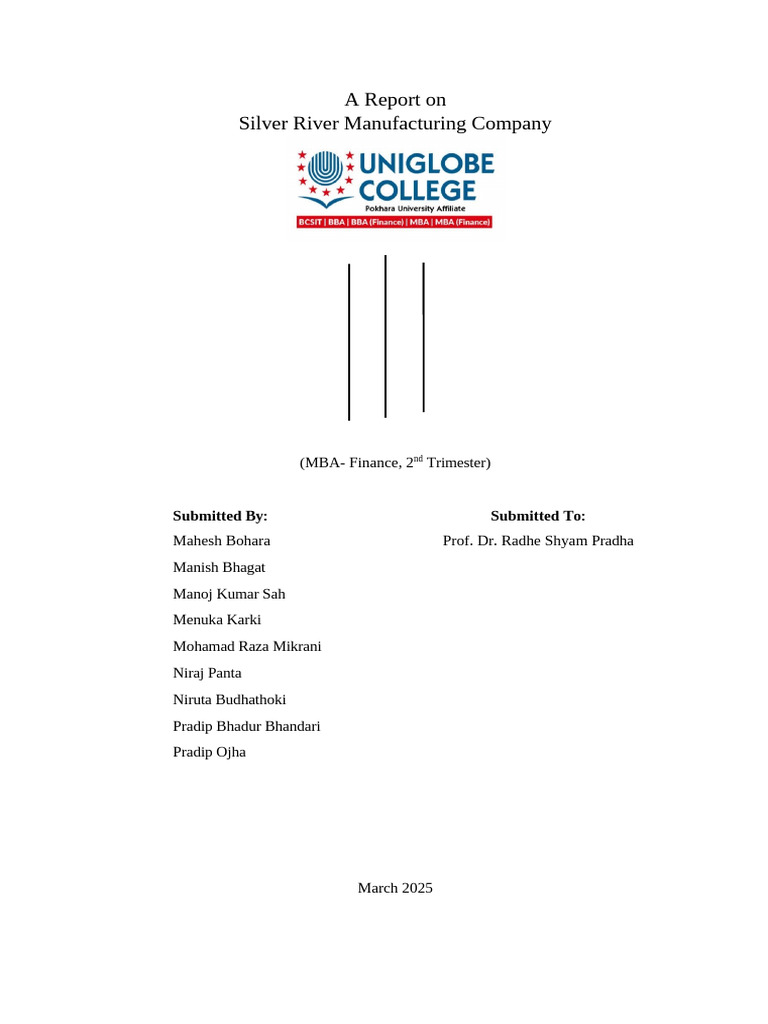 Silver River Manufacturing Financial Analysis | PDF | Leverage (Finance ...