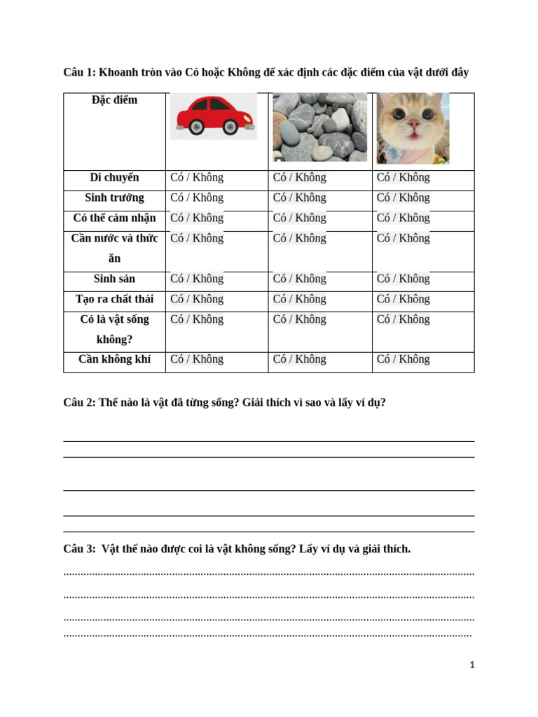 Ôn Tập Khoa Học Chương 1 Phần 1 | PDF