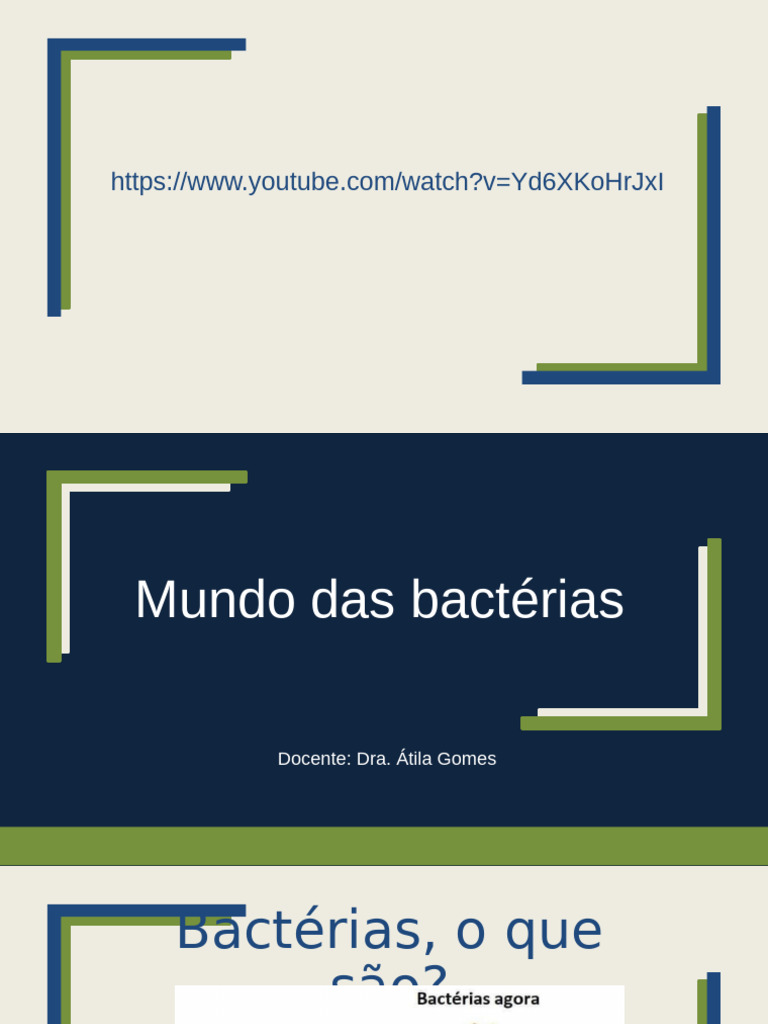 Mundo Das Bacterias e Patogenese | PDF | Bactérias | Célula (Biologia)