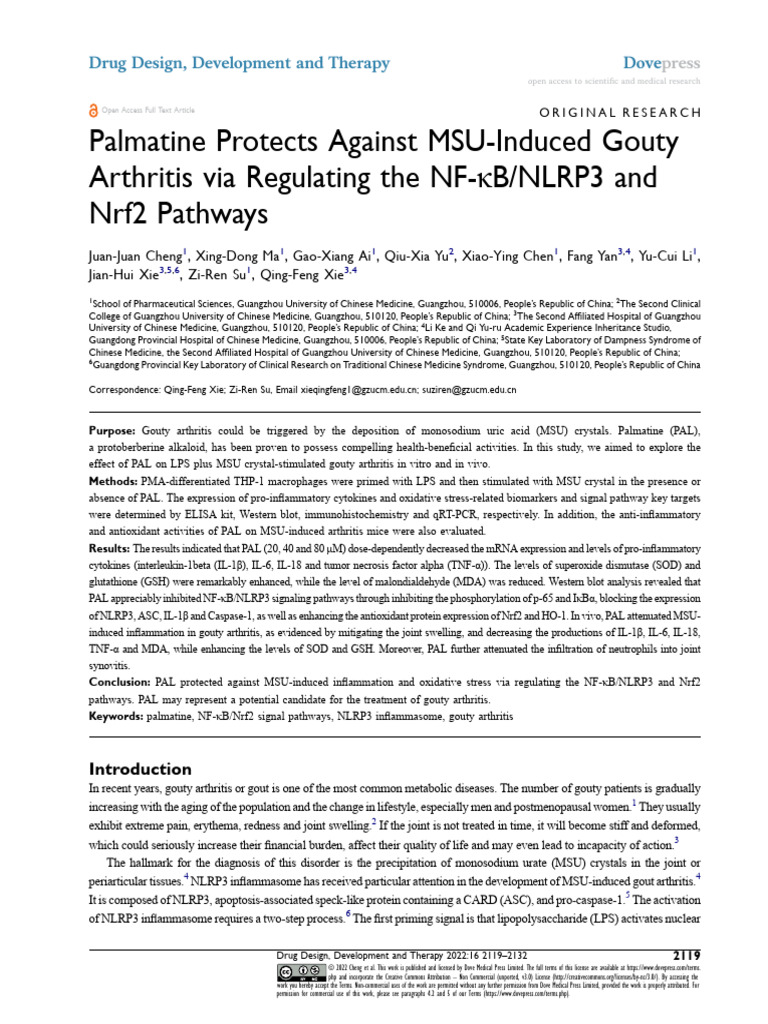 Palmatine Protects Against MSU-Induced Gouty Arthritis via Regulating ...