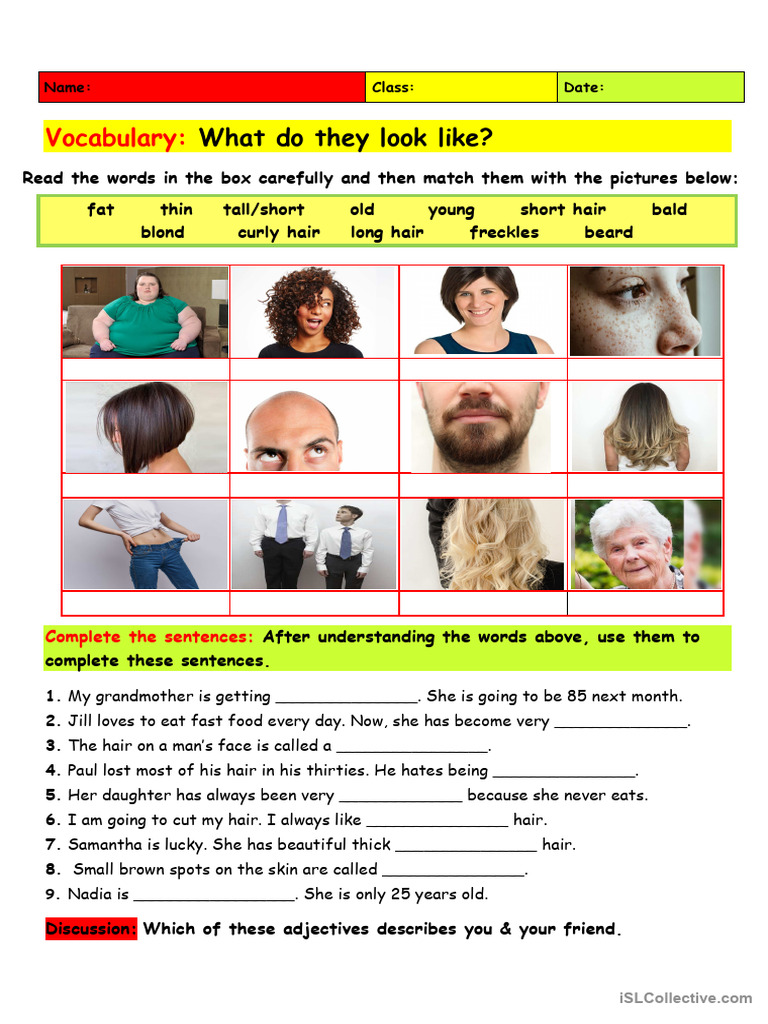 Vocabulary - What Do They Look Like | PDF