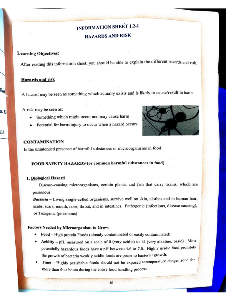Follow Workplace Hygiene Procedures | PDF
