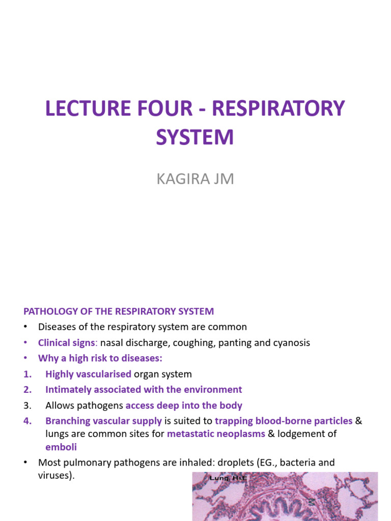 Lecture Four - Respiratory System Pathology 2022 | PDF | Lung ...