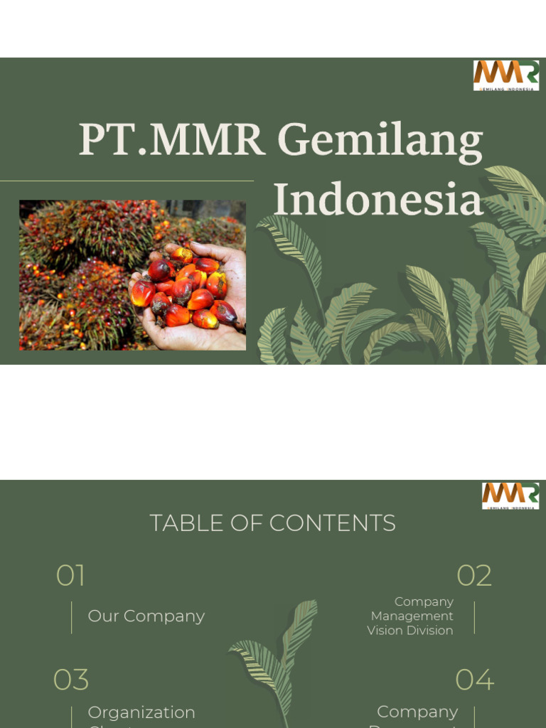 PT. MMR Gemilang Indonesia Overview | PDF | Palm Oil | Fuels