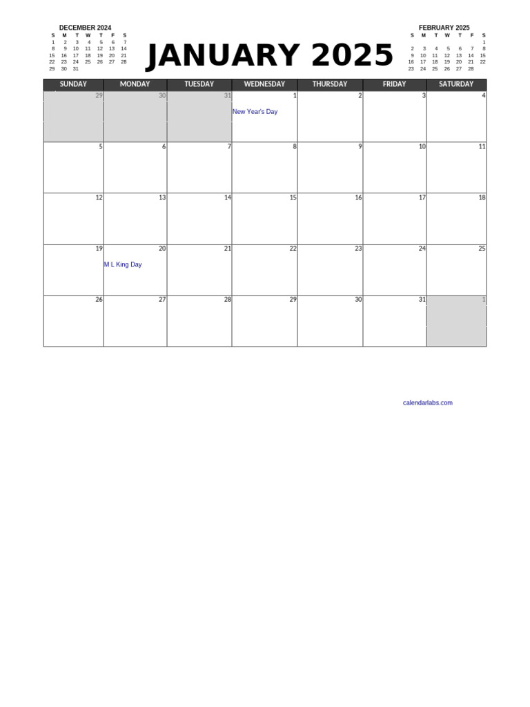 2025 Excel Calendar Planner 12 | PDF | Observances