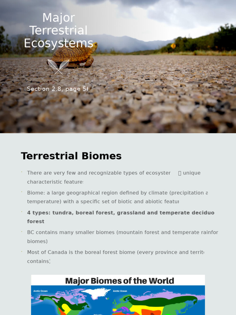 Lesson 6 Major Terrestrial Ecosystems | PDF | Grassland | Forests