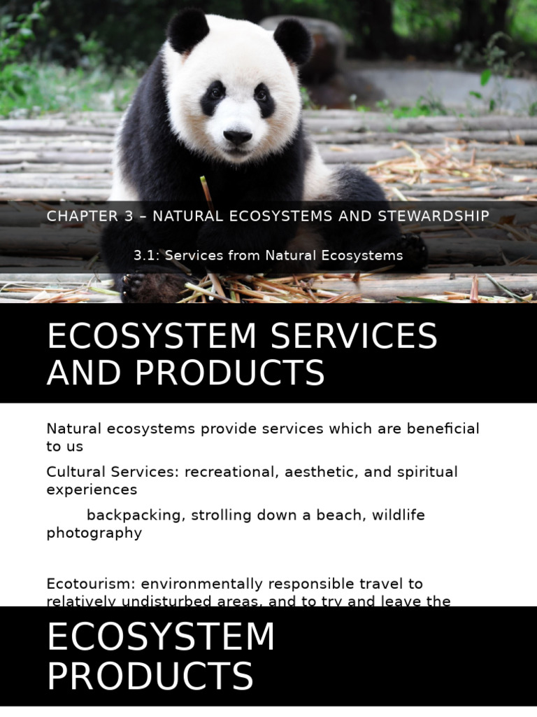 Lesson 8 - Natural Ecosystems and Stewardship | PDF | Ecosystem ...