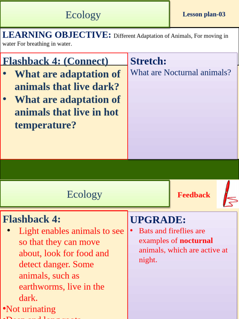 Animal Adaptations for Water Survival | PDF | Fish | Gill