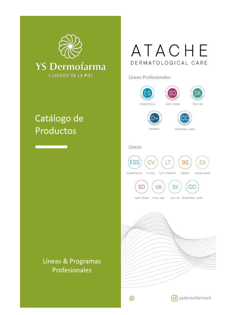 Ataché Productos | PDF | Antioxidante | Envejecimiento