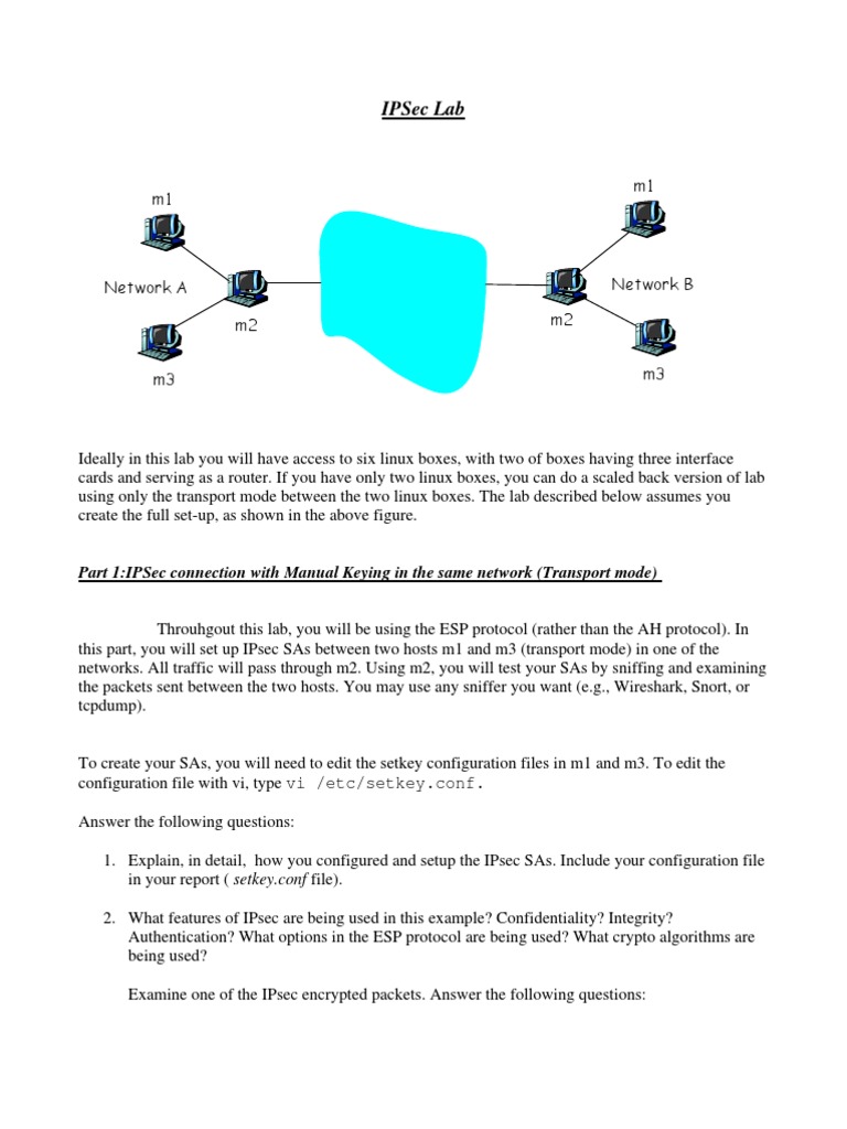 IPSec Assignment | PDF | Internet Protocols | Network Packet
