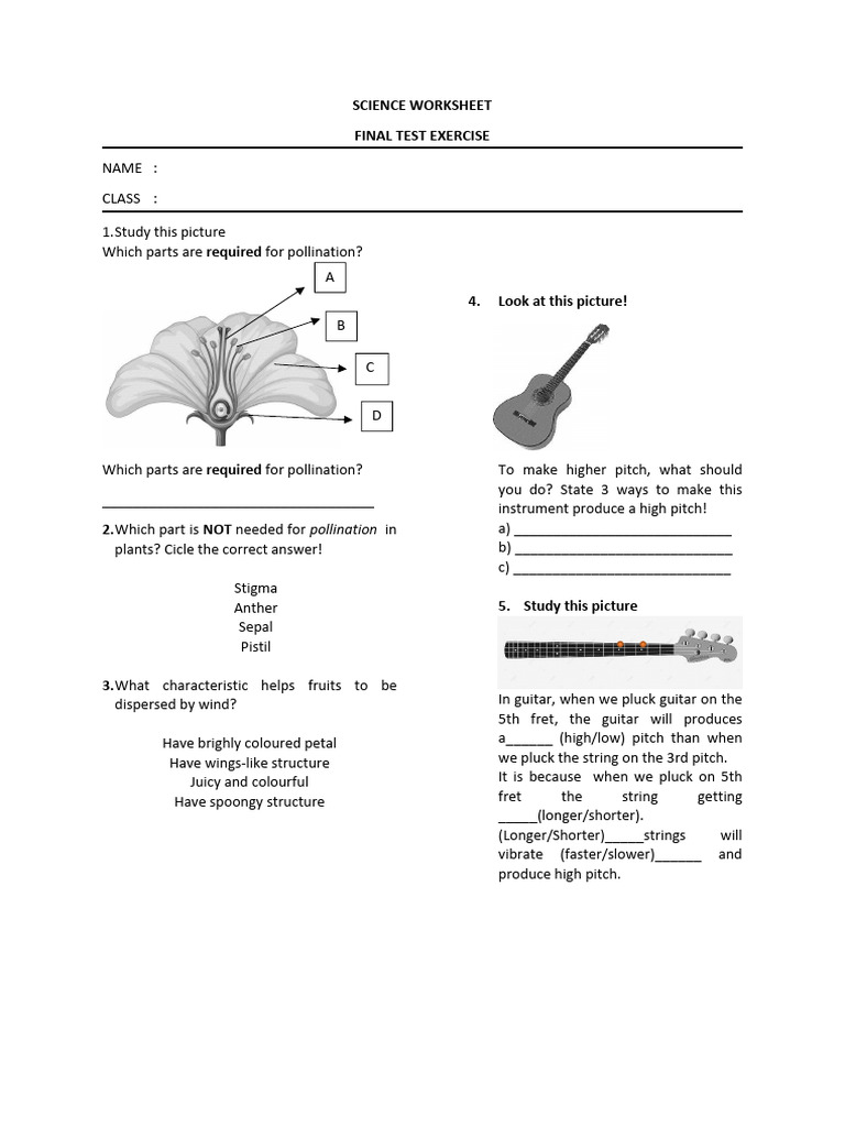 Science Final Test Woeksheet | PDF | Water | Evaporation