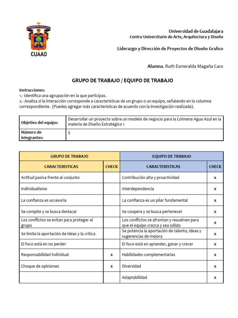 Grupo. Equipos. Roles | PDF | Diseño | Educación en artes liberales