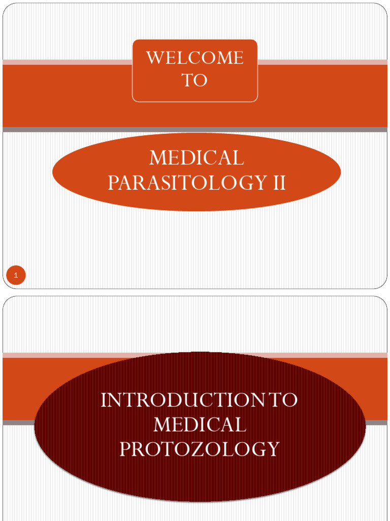 Unit 1-Introto Protozoa | PDF | Protozoa | Biology