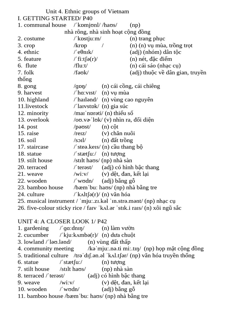 Vocab - Unit 4 | PDF