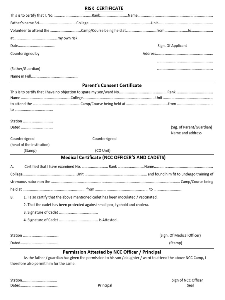 Risk Certificate | PDF