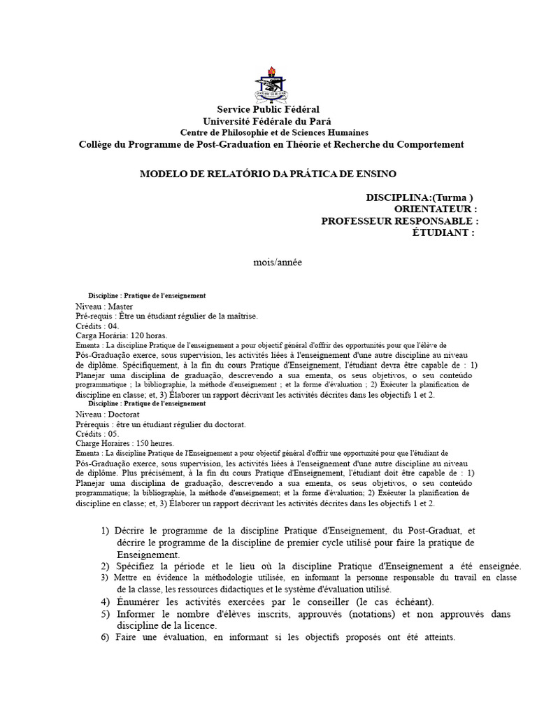 Rapport sur la Pratique de l'Enseignement | PDF | Doctorat