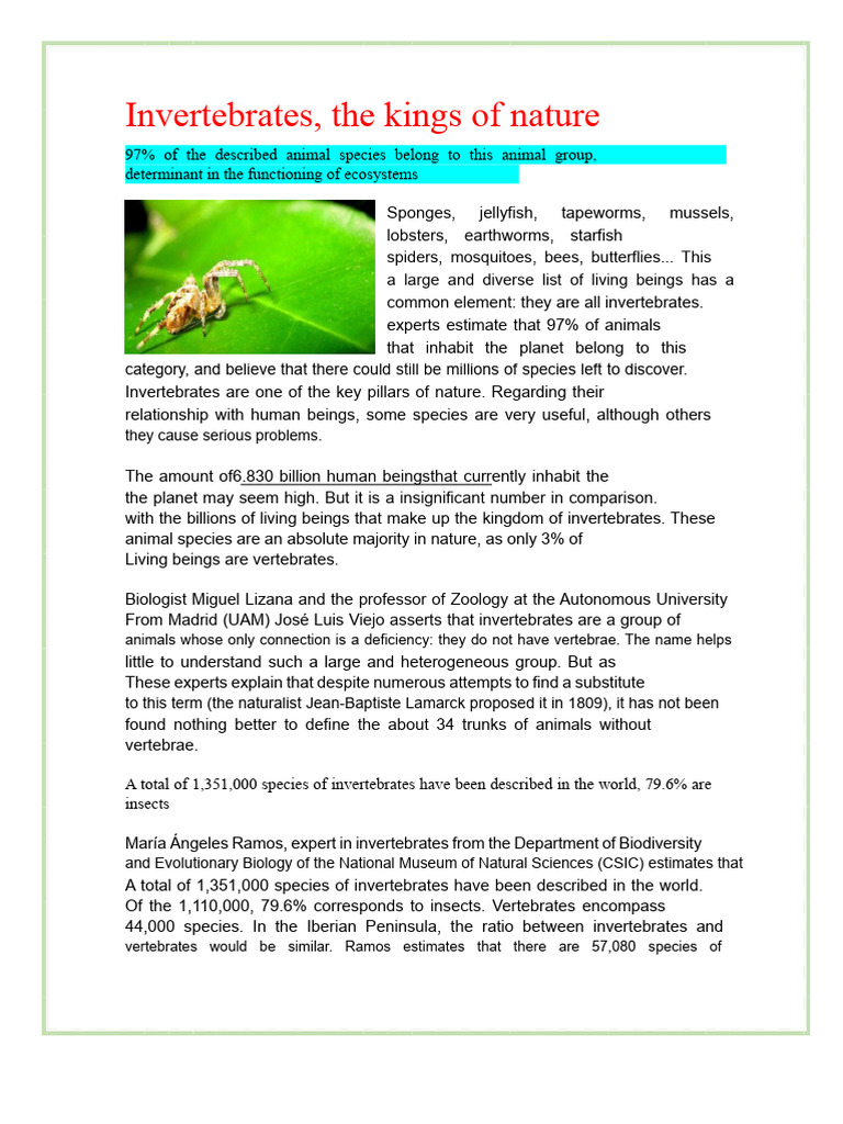 Invertebrate Animals | PDF | Invertebrate | Species