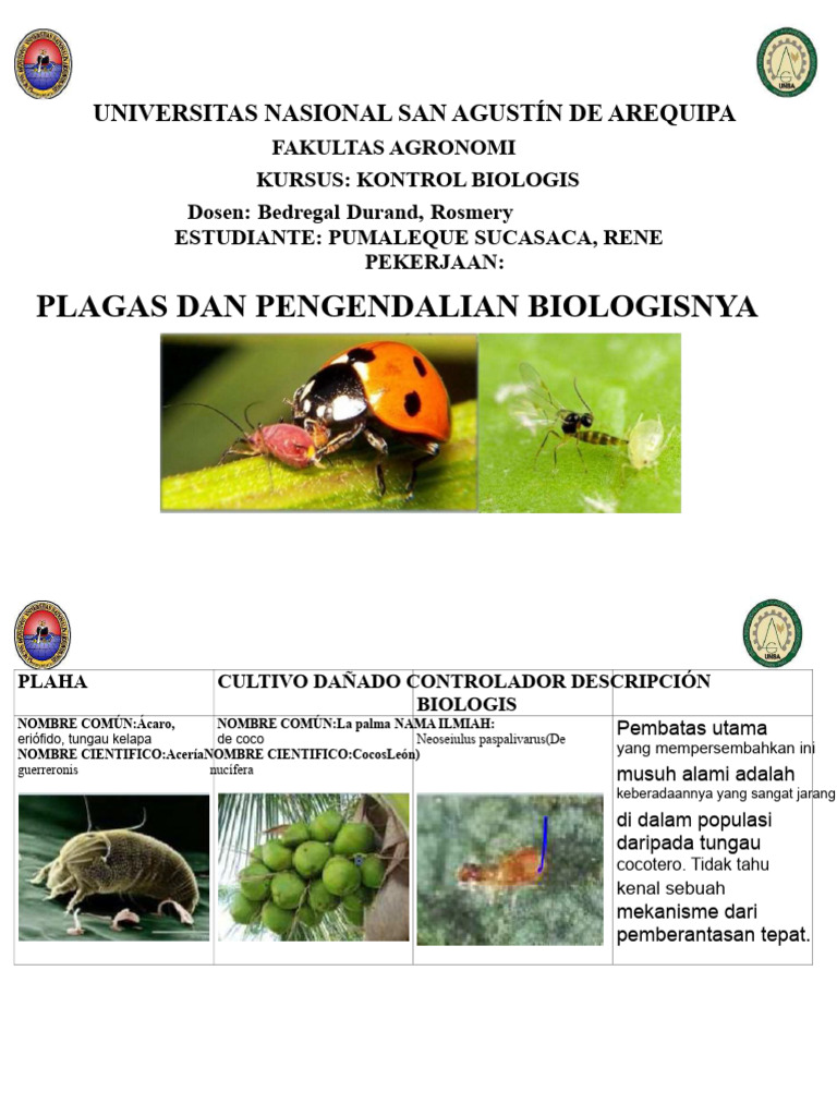 Hama Dan Pengendali Biologisnya (Pumaleque Sucasaca Rene) | PDF