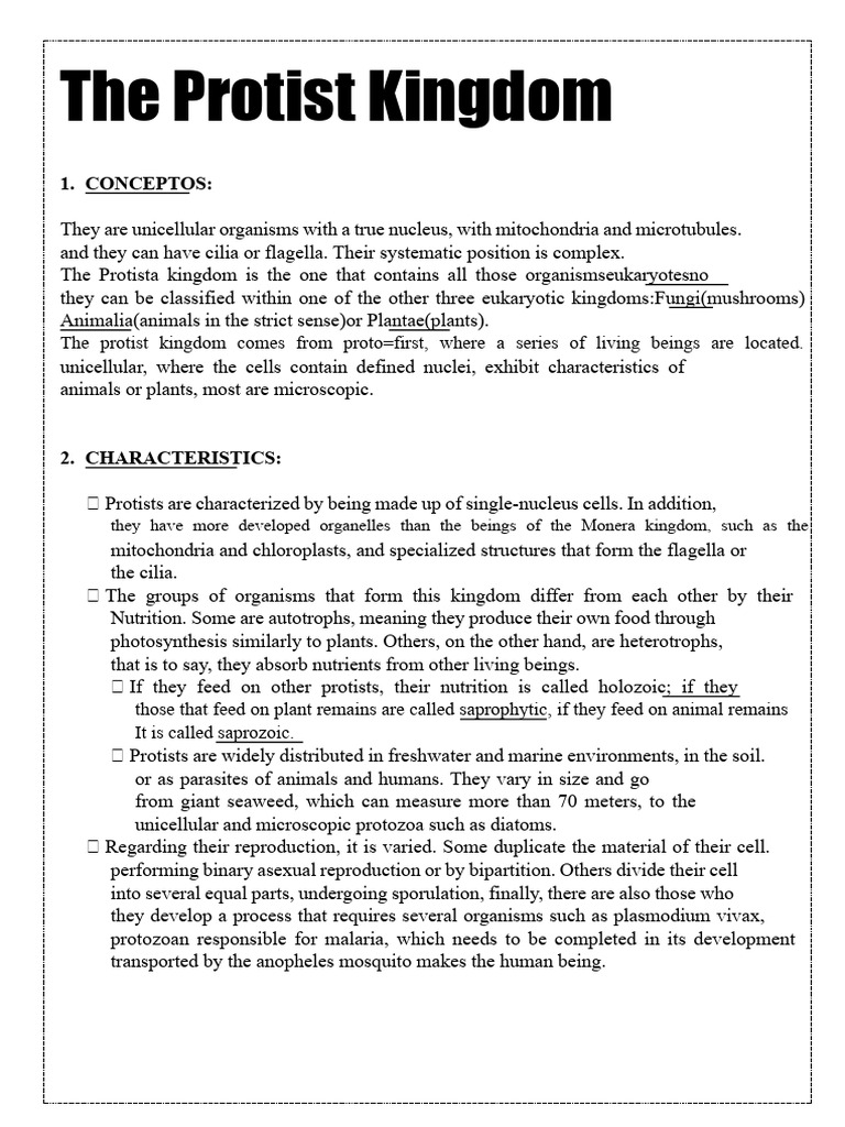 The Protista Kingdom | PDF | Protozoa | Biology