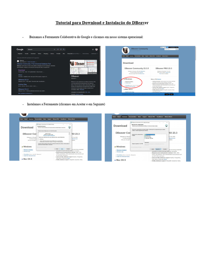Guia de Instalação do DBeaver e Postgres | PDF