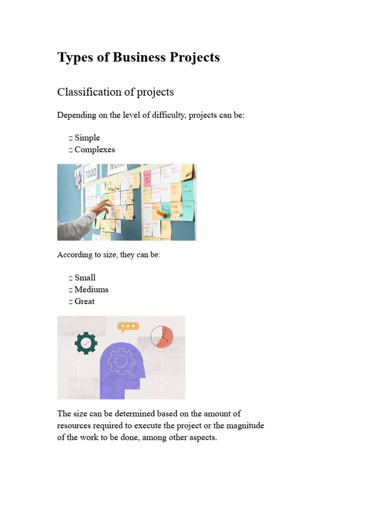 Types of Business Projects | PDF