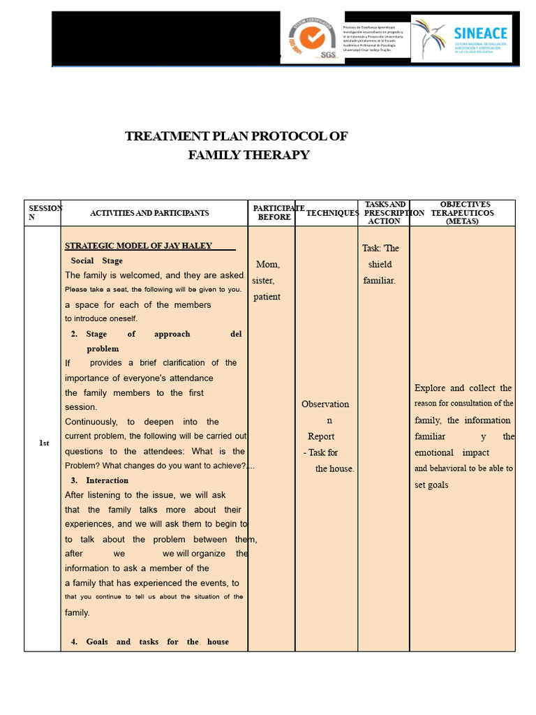 Family Therapy Treatment Plan Guide | PDF | Attachment Theory ...