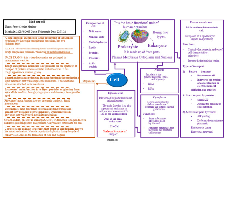 PDF Mind Map Cell | PDF | Cell (Biology) | Cell Membrane