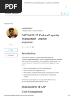 SAP Cash Flow Analyzer Overview | PDF | Market Liquidity | Cash
