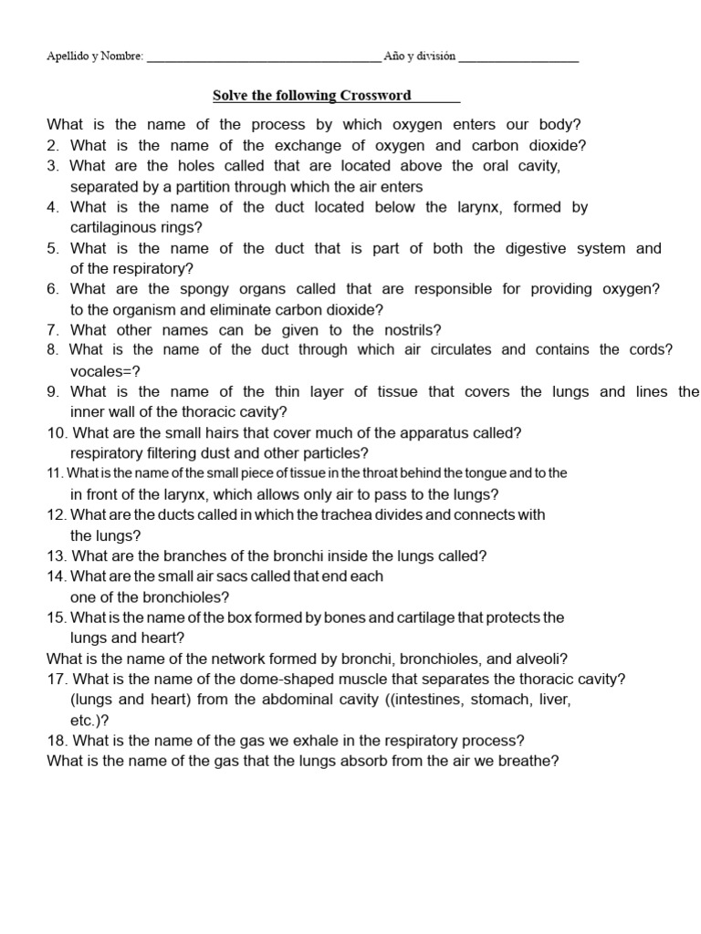 Respiratory System Crossword Puzzle | PDF | Respiratory System | Lung
