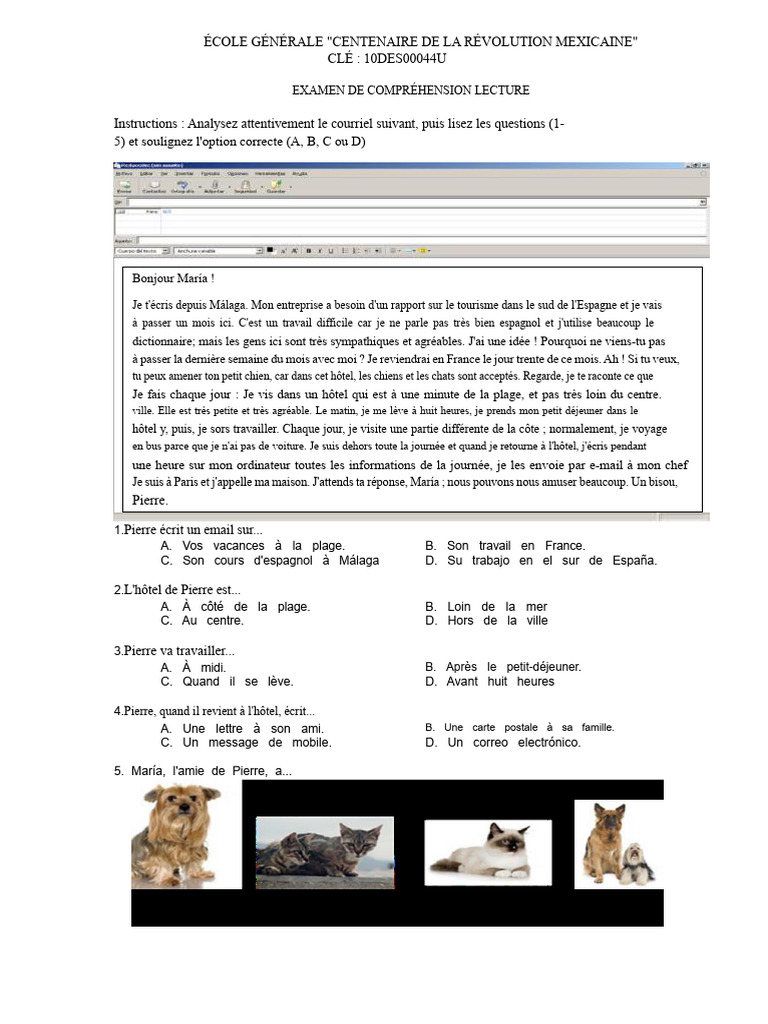 Examen de compréhension lecture : email de Pierre | PDF