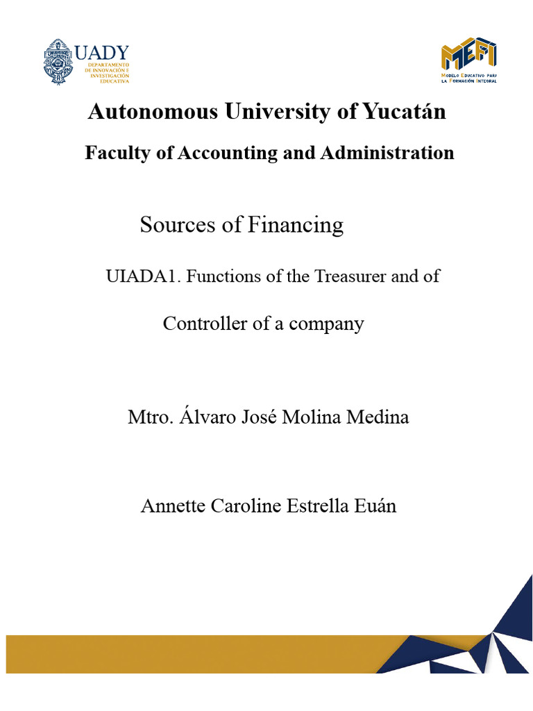 Treasurer and Controller Functions Explained | PDF | Banks | Valuation ...