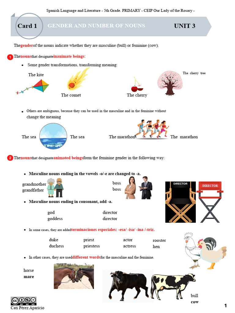 Unit 3 Spanish Language 5th Grade | PDF | Grammatical Gender ...