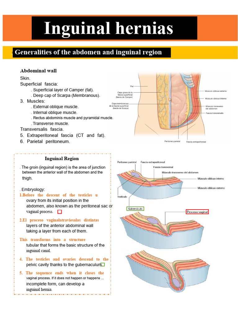 Inguinal Hernias: Types and Treatments | PDF | Abdomen