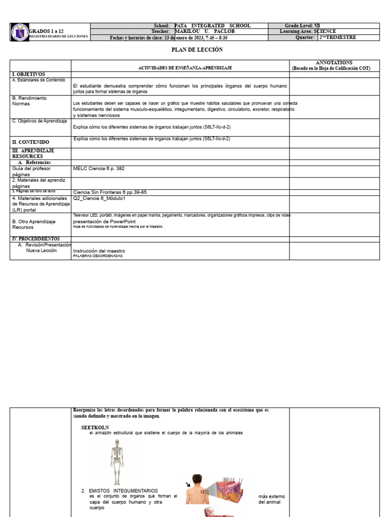 DLP - Cómo Los Diferentes Órganos Del Cuerpo Trabajan Juntos | PDF ...