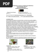 Simetria Corporal em Animais | PDF | Sistema nervoso | Corpo humano